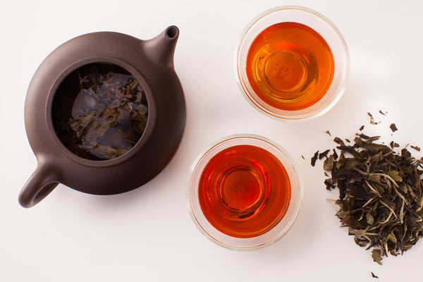 Our Tea Partner - Hugo Tea Company – Velodrome Coffee Company